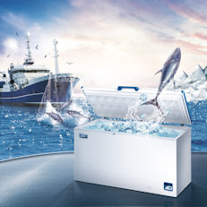 Minus 80 Haier Medical freezers